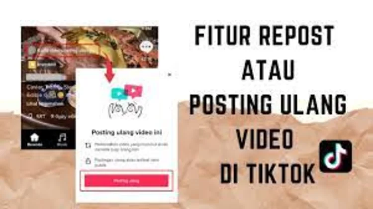 Apa Itu Postingan Ulang di TikTok?