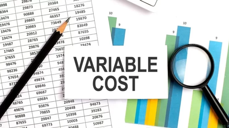 apa itu biaya variabel